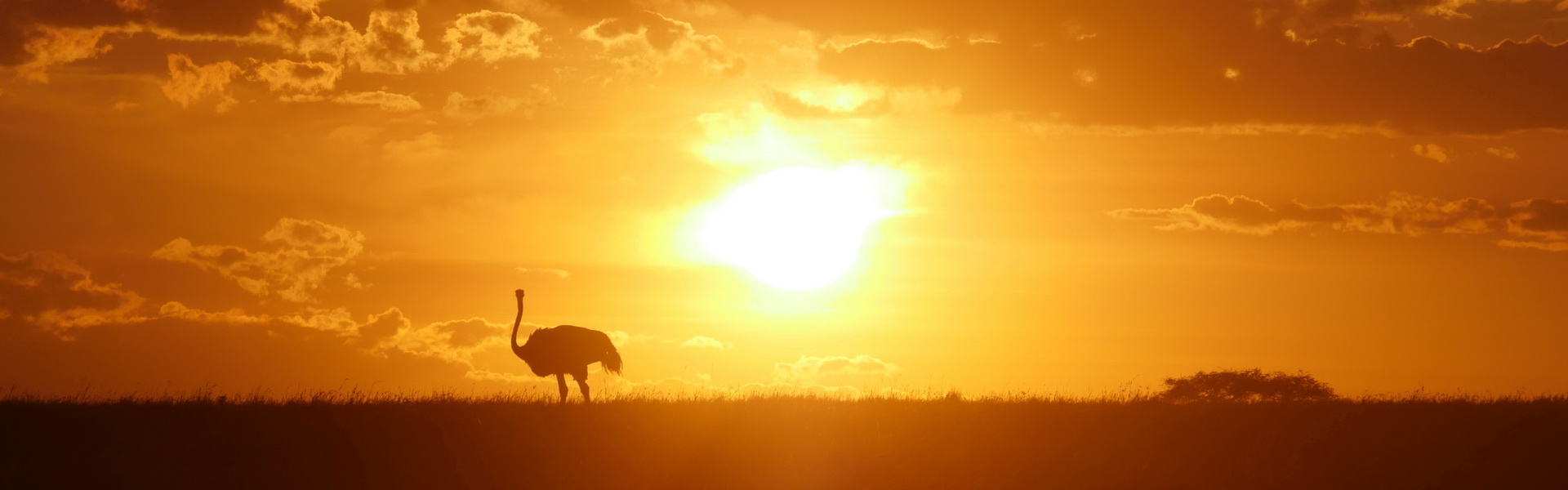 Safari In Kenia - Bush Adventure